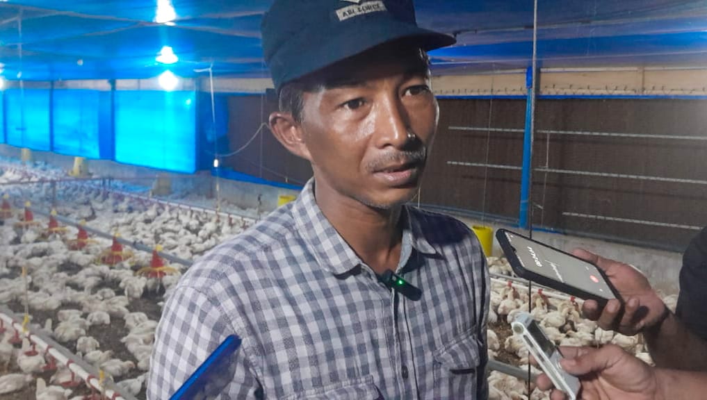 Ternak Ayam, BUMDES Malem Muda Raup Keuntungan Ratusan Juta
